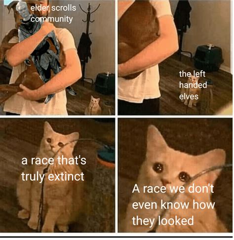 Can We Give These Guys Some Love R Skyrimmemes