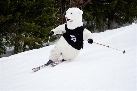New England College Mascots