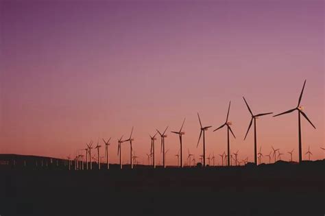 Energie Rinnovabili Le 5 Tipologie Più Diffuse