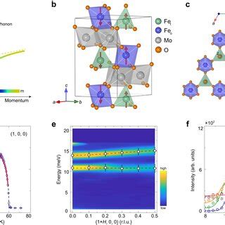 Schematic Of Magnon Polarons And Two Dimensional Magnetism In A
