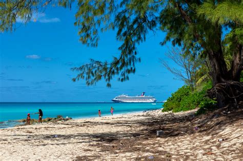8 Things To Do In Bimini Bahamas On A Cruise