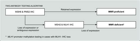 Two Antibody Testing Algorithm Download Scientific Diagram