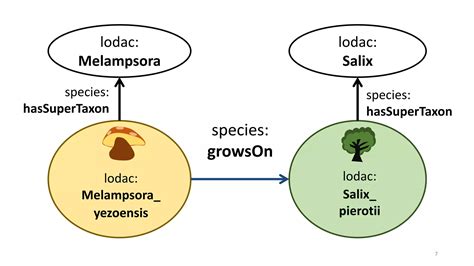 A Logical Model For Taxonomic Concepts For Expanding Knowledge Using Linked Open Data Ppt