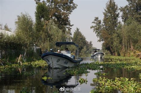 恐怖娃娃之岛 墨西哥霍奇米尔科