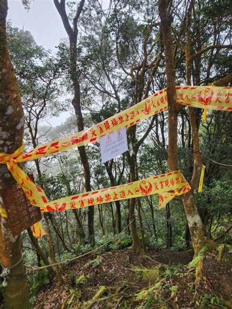 （登山遭虎頭蜂螫傷片）苗栗神仙縱走遭虎頭蜂螫傷 5人送醫