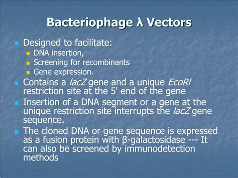 Ppt Cloning Vectors Powerpoint Presentation Free Download Id2240868