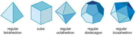Regular Polyhedron