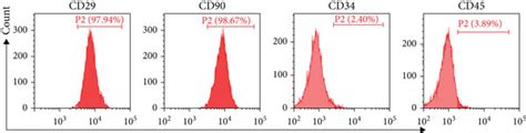 Isolation And Identification Of BMSCs And BMSC EVs A BMSC P3