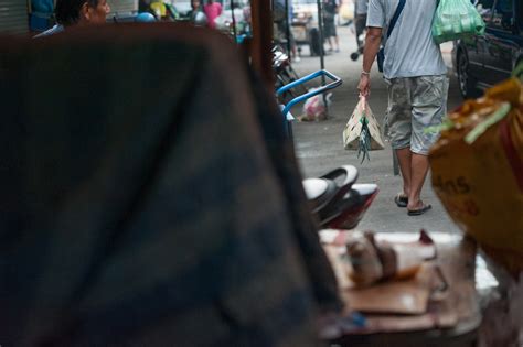Illegal Cockfights In Bangkok Thailand
