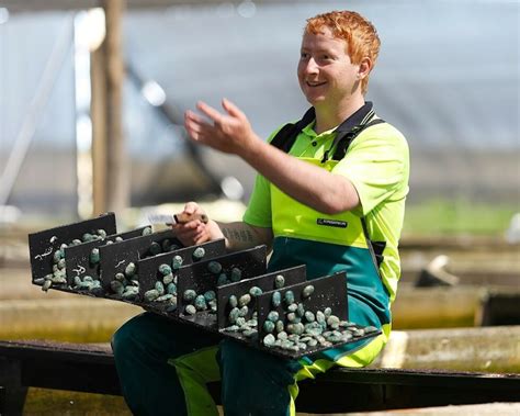 Abalone Farming Australian Abalone Growers Association