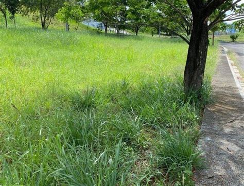 Clean Title Lot For Sale San Jose Del Monte Bulacan 604 Properties