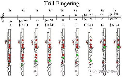 长笛手 美妙的装饰音 知乎