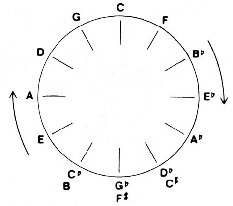 Bass Fundamentals