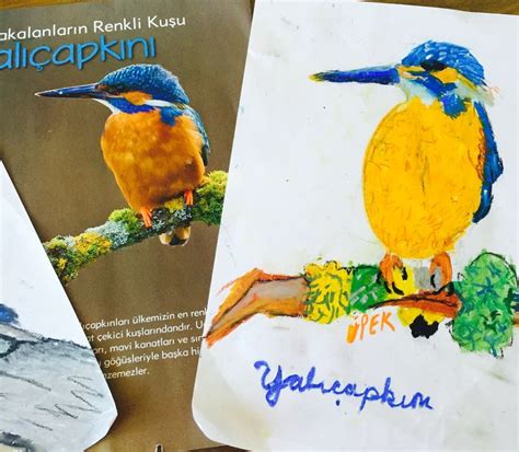 Emel Yüce adlı kullanıcının Çocuk sanat panosundaki Pin Renkli kuş Kuş Sanat