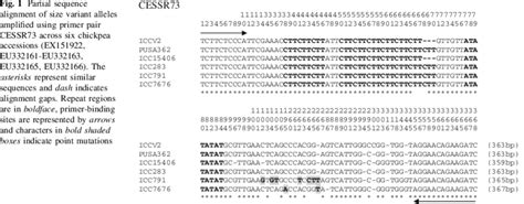 Partial Sequence Alignment Of Size Variant Alleles Amplified Using