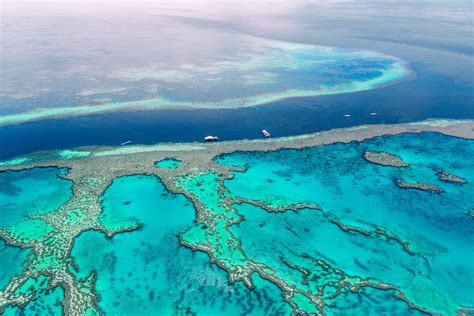 Lady Elliot Island Paradise In The Great Barrier Reef
