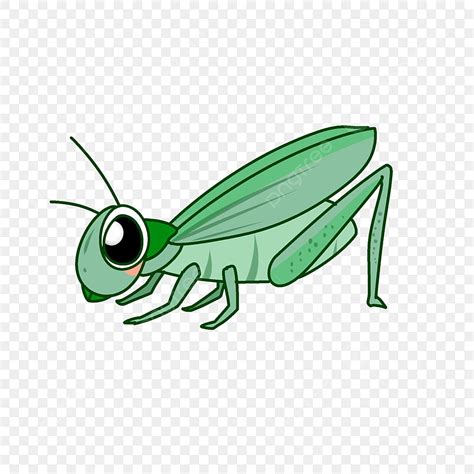 녹색 곤충 일러스트 메뚜기 곤충 클립 아트 초록 곤충 Png 일러스트 및 Psd 이미지 무료 다운로드 Pngtree