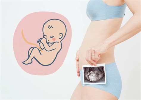 【荻田医師監修】着床出血っていつ起こるの？生理との違いは？｜アカチャンホンポ