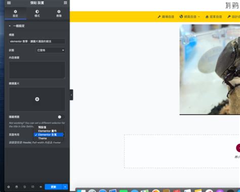 elementor 教學讓圖片滿版的做法 有雞田舍