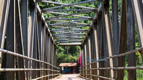 Sinharaja Rainforest A Detailed Guide