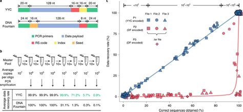 experimental validation of in vitro binary data storage using the yyc