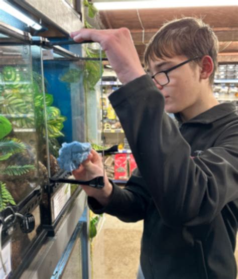 Chapel Green School Juniper Class