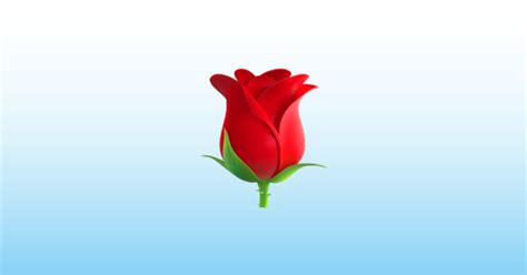 장미꽃 이모티콘 🌹