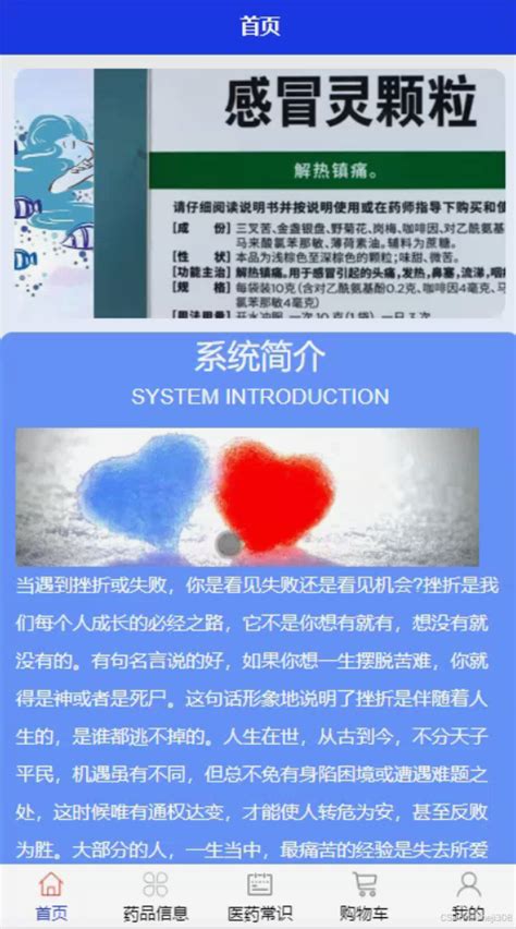 Javavue计算机毕设医药销售小程序【源码开题论文】 Csdn博客