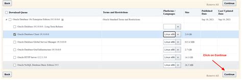 how to download oracle 19c client