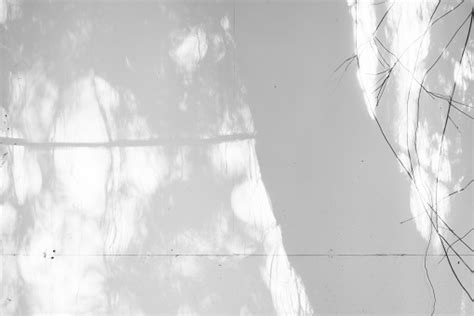 콘크리트 벽에 그림자 잎의 흑인과 백인 추상 배경 Textuer 0명에 대한 스톡 사진 및 기타 이미지 0명 가까운 건물