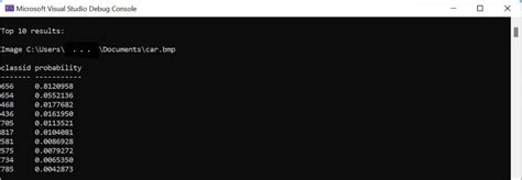 OpenVINO Blog Running OpenVINO C Samples On Visual Studio