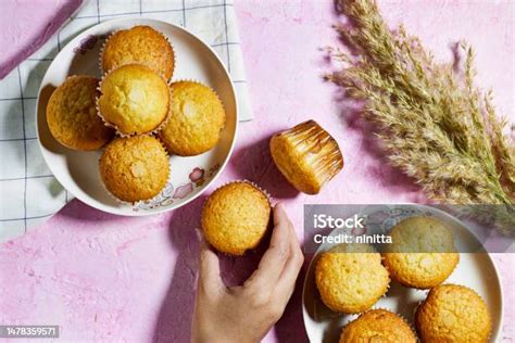 분홍색 그런지 배경에 갈대 식물이 있는 종이컵에 바닐라 카라멜 너트 머핀을 들고 있는 손 여자 견과에 대한 스톡 사진 및 기타 이미지 Istock