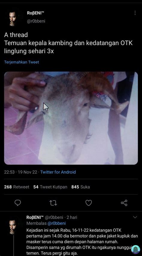 Tanyarl On Twitter 💚 Udah Baca Thread Ini Belum Kasian Banget