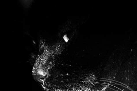 Shaded Eyes By Matthileo On Deviantart