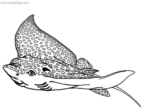 Sting Coloring Pages