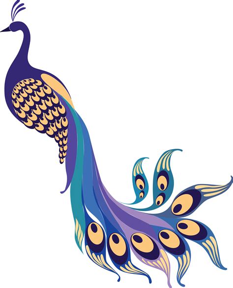 Peacock Symbolic Vibrant Nature Exotic PNG