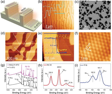 A Schematic Model Of Sl‐mos2 On The Tr‐sto Surface B Afm Image Of