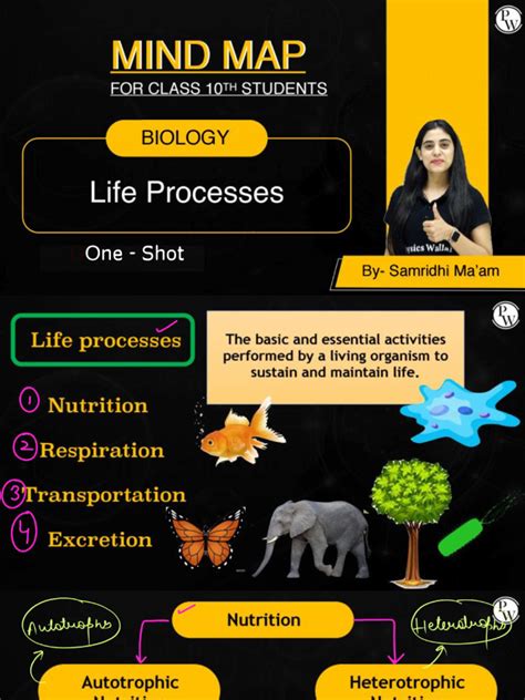 Life Processes Class Notes Mind Map Class 10th Pdf