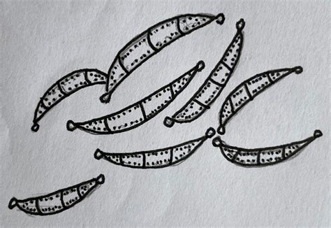 Ad Aquae Evosystem Wiki