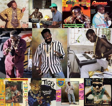 Where To Find Reggae Music By Tiger Audiolover