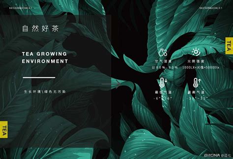 画册部分展示宣传品设计作品 设计人才灵活用工 设计dna