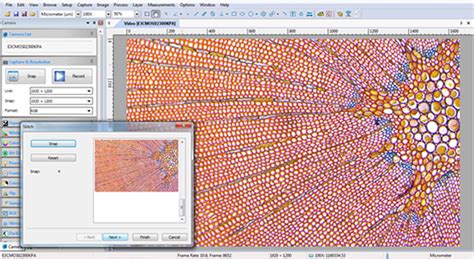 Microscope Digital Camera Image Stitching