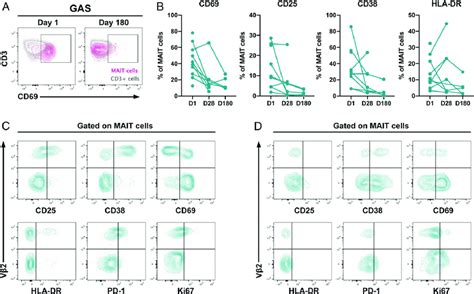 Mait Cells Are Activated During The Acute Phase Of Stss A Cd69