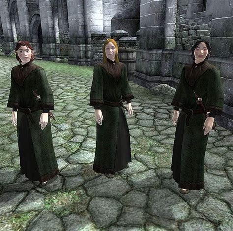 12 Best Followers And Companions In Tes Oblivion Fandomspot