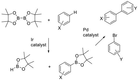 ‘one Pot In Situ Borylation By C H Activation Wordpress
