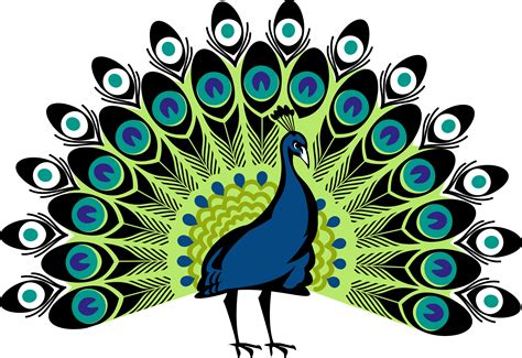 Peacock Logo Exotic Bird Nature Inspired Vibrant Symbol Elegant