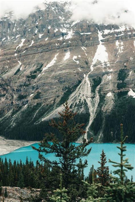 Alpine Lake Peyto Lake 겨울 녹기 경치 경치가 좋은 고요한 공원 광야 구름 낀 하늘 국립 공원