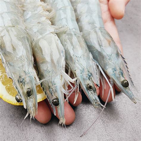 국내산 대하 활새우 2kg 60~70미 버터2팩 칠리소스1팩 증정 홈플러스 택배배송