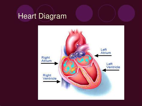 ppt covariance structures in longitudinal analysis powerpoint