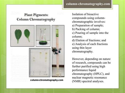 Isolation Of Bioactive Compounds From Medicinal Plants Ppt